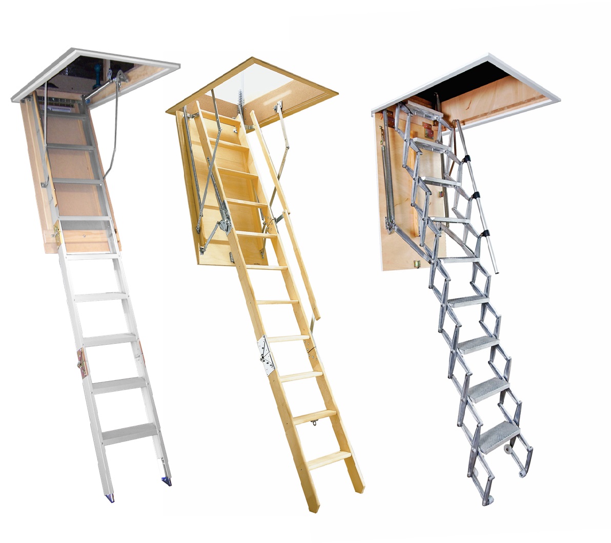 Attic Conversion Bondi - Attic Group